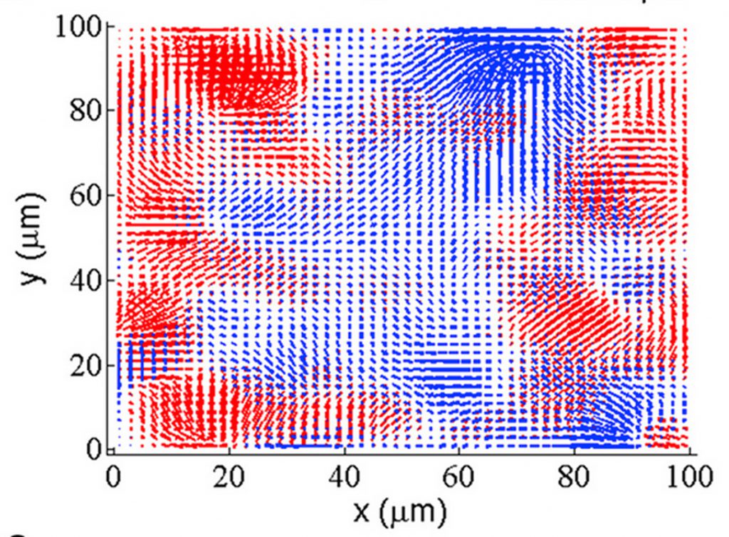 Inference of Internal Stress in a Cell Monolayer | Cell Adhesion and ...